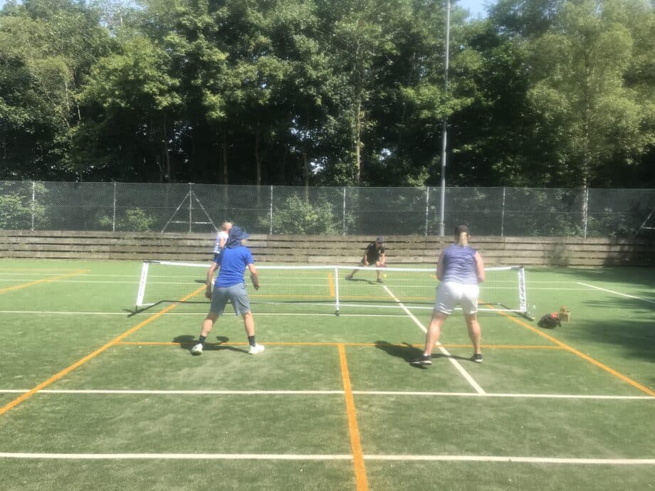 Winster Pickleball Club - Pickleball England